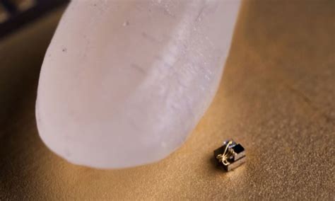 World S Smallest ‘computer Makes A Grain Of Rice Look Huge Brandsynario