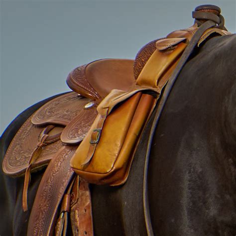 Western Tack Shop For Headstalls Bits Cinches And More