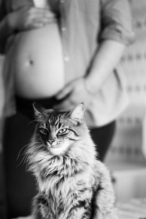 Grossesse Isabelle Dupont