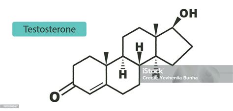 Testosterone Molecule Stock Illustration Download Image Now Icon