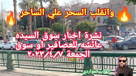 تقرير اسعار العصافير والمستلزمات في سوق السيده عائشه او سوق الجمعة ٢٠٢٣