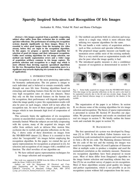 Pdf Sparsity Inspired Selection And Recognition Of Iris Images