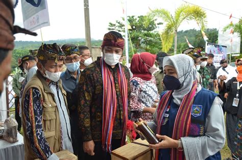 Jalur Pendakian Gunung Rinjani Via Senaru Kembali Dibuka Pos Bali