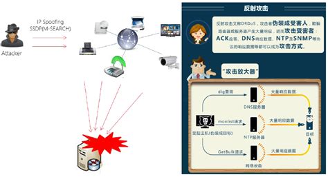【信息安全原理】——拒绝服务攻击及防御（学习笔记）bind拒绝服务攻击利用条件 Csdn博客