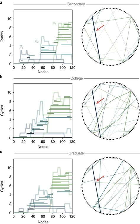 Global Semantic Feature Network Architecture Is Consistent Across Download Scientific Diagram