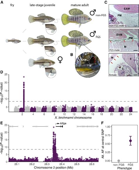 Figure 1 From Structural Genomic Variation And Behavioral Interactions