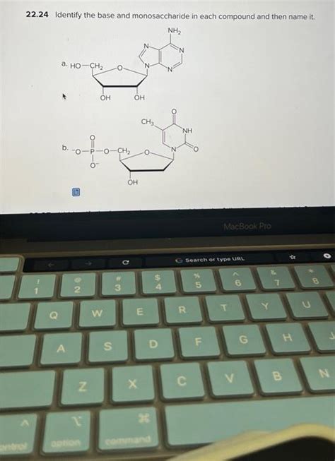 Solved 22 24 Identify The Base And Monosaccharide In Each