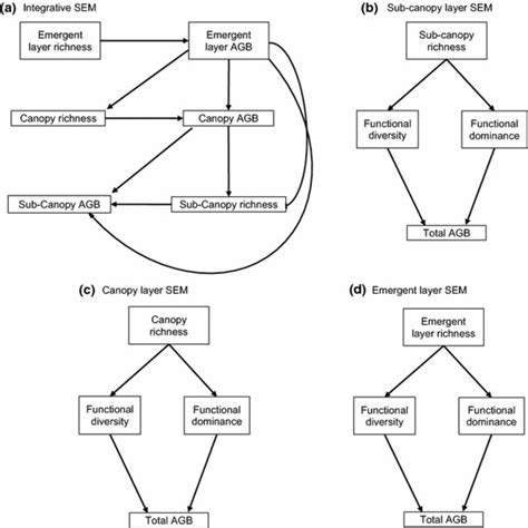 Pdf Diversity Biomass Relationship Across Forest Layers Implications For Niche