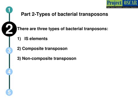 Ppt Bacterial Transposons Powerpoint Presentation Free Download Id