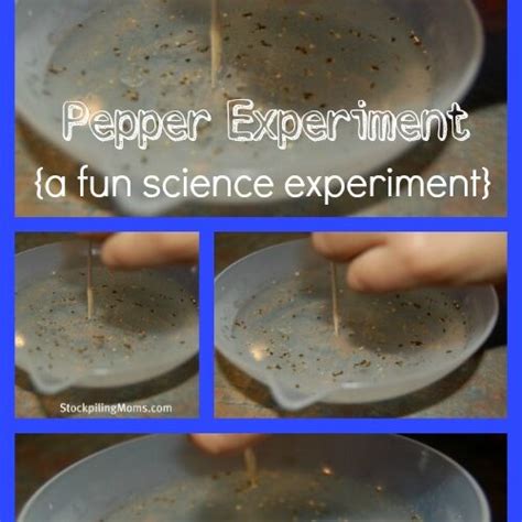 Pepper Experiment A Fun Science Lab Experiment