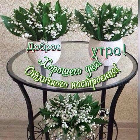 Pin Auf Доброе утро