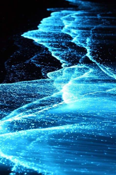 Mesmerizing Bioluminescent Plankton In The Maldives 💦 Nature