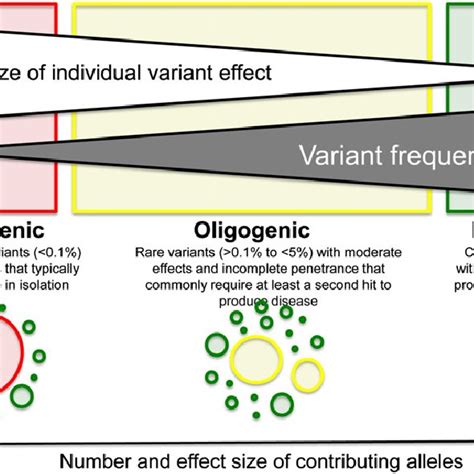 Pdf Determinants Of Incomplete Penetrance And Variable Expressivity