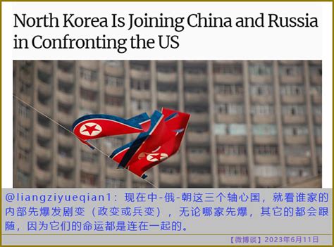 〖微博谈搬运20230611〗它们的命运都是连在一起的 新·品葱