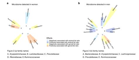 Bacteria And Fat Ratios Can Being Male Or Female Determine Your Bacteria Naturally Inspiring