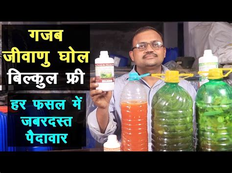 फ्री का ये जीवाणु घोल फसलों की जबरदस्त पैदावार बढ़ाता है Organic