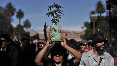 “libertad A Los Presos Por Cultivar” Miles De Personas Marcharon Por