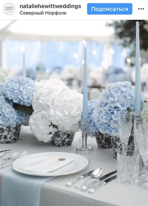 Pin by Tetiana Fialkovna on Цвет синий голубой серый Hydrangea