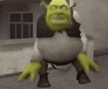Memes GIFs Tenor