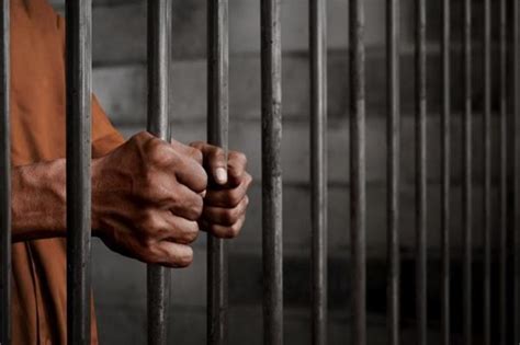 صحيفة الرأي الأردنية عاجل السجن من ثلاث اشهر الى ثلاث سنوات لسبعة
