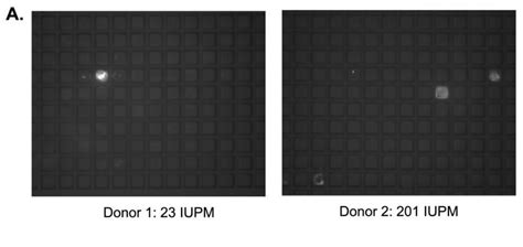 New Publication Cellraft For Hiv Infected Cells Megan Stasik