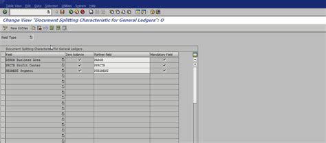 Document Splitting With Two Characteristics Busine SAP Community