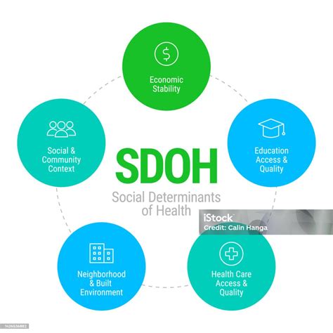 Sdoh 건강의 사회적 결정 요인 벡터 인포 그래픽 일러스트 레이 션 건강관리와 의술에 대한 스톡 벡터 아트 및 기타 이미지