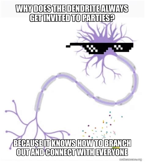 Why Does The Dendrite Always Get Invited To Parties Because It Knows
