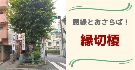 悪縁とはおさらば都内唯一の縁切り神社縁切榎に行ってきた 推しのために可愛くなりたい