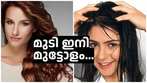 Hair Care ഈ 3 സാധനങ്ങൾ കഴിച്ചോളൂ മുടി വളരും മുട്ടോളം Hair Care