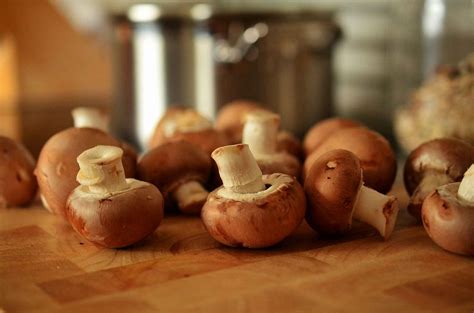 Do Mushrooms Benefits Are Good For Your Health Garden Infograph