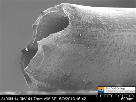 Scanning Electron Microscope Blog How Sharp Is A Hypodermic Needle