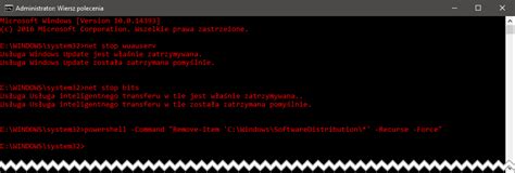 Naprawiamy Us Ug Windows Update Variatkowo Pl