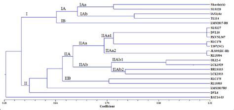 Dendrogram Generated By Upgma Analysis Based On Ssr Markers Download