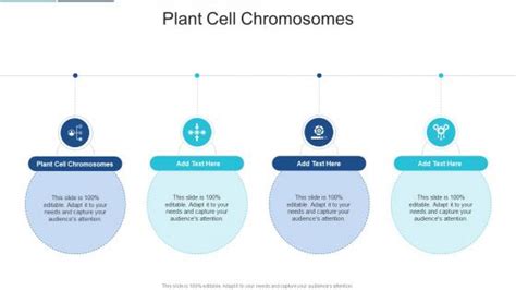 Plant Cell Chromosomes Powerpoint Templates Slides And Graphics