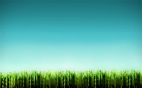 Grass Digital Art Wallpapers Hd Desktop And Mobile Backgrounds