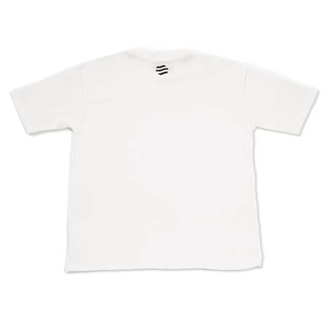 Seismic Impact Accend Site Oficial