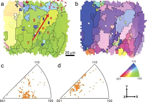 Crystal Orientation Distribution In The Solder Joint Before The Em Test