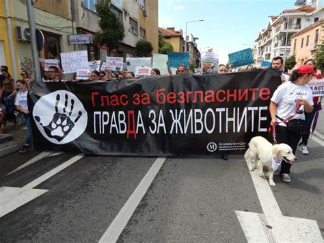 „Градот хуман пак ќе никне“ Против насилството врз животните сите граѓани на Плоштад Македонија