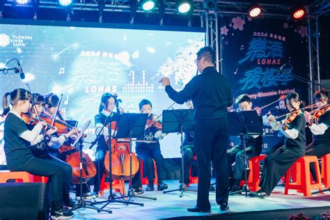 「櫻花樹下的幸福」 樂活夜櫻季124華麗揭幕 獨家日報