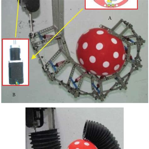 Elephants Trunk Robot And Torque Sensor A Elephants Trunk Robot