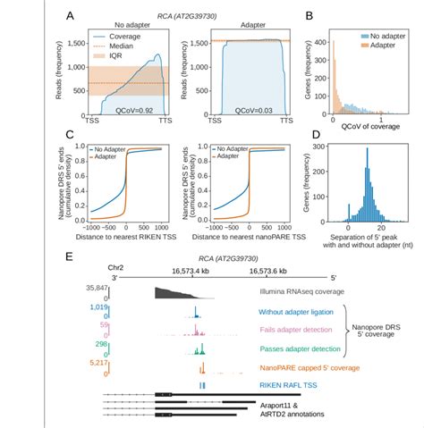 Cap Dependent Ligation Of An Adapter Enables Detection Of Authentic Rna Download Scientific