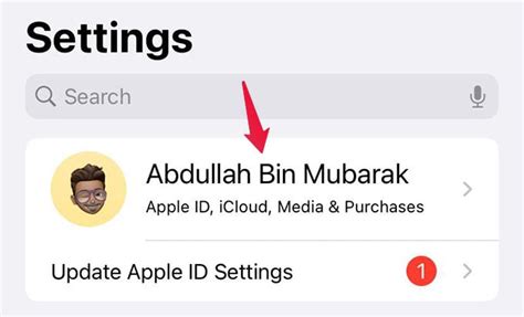 How To Hide Your IP Address And Browsing History On IPhone Without A VPN MashTips