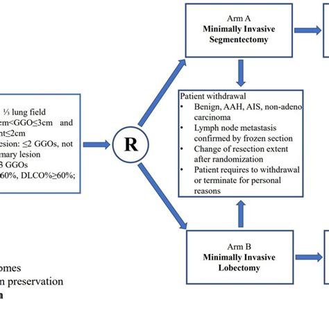 The Overall Effect Sizes Of Paths Download Scientific Diagram