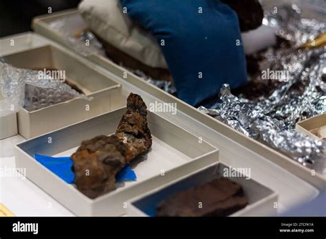 Fossils Being Repaired In A Paleontology Laboratory Reconstructing