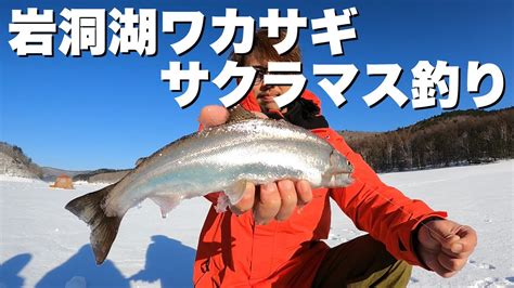 岩洞湖ワカサギ釣り解禁6週目サクラマス解禁2023釣行記vol 7 YouTube