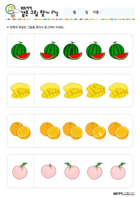 관찰놀이 활동지 3장 과일3 똑같은 그림 찾기