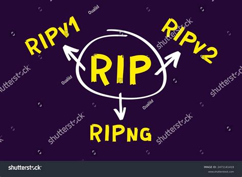 Rip Versions Ripv1 Ripv2 Ripng Routing Stock Illustration 2471141419 Shutterstock