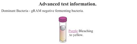Acid Producing Bacteria Apb Bart Test Kit Geoquip