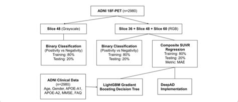 Figure E Flowchart Of Adni Data Applications Download Scientific Diagram